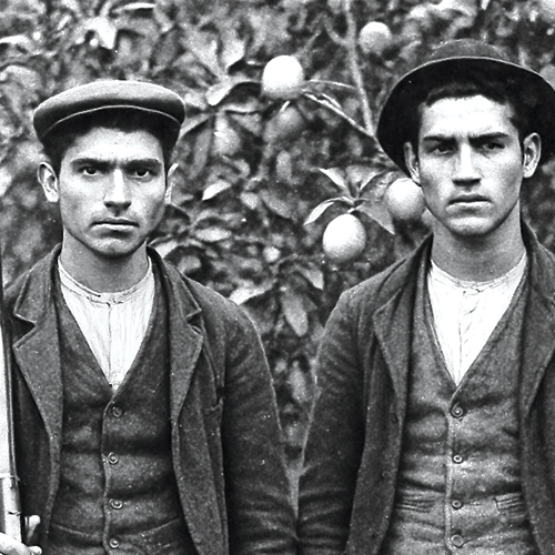 The Birth of the Mafia: Crime, Power, and the Making of Modern Sicily ...