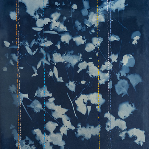 Cyanotype Photography with the Sun - Smithsonian Associates